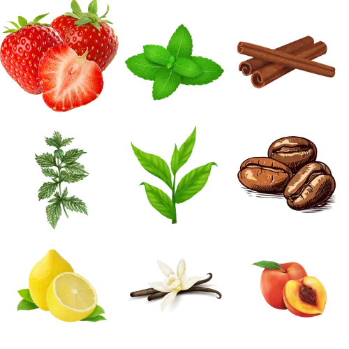 my-pipo.com-home – MY-PIPO